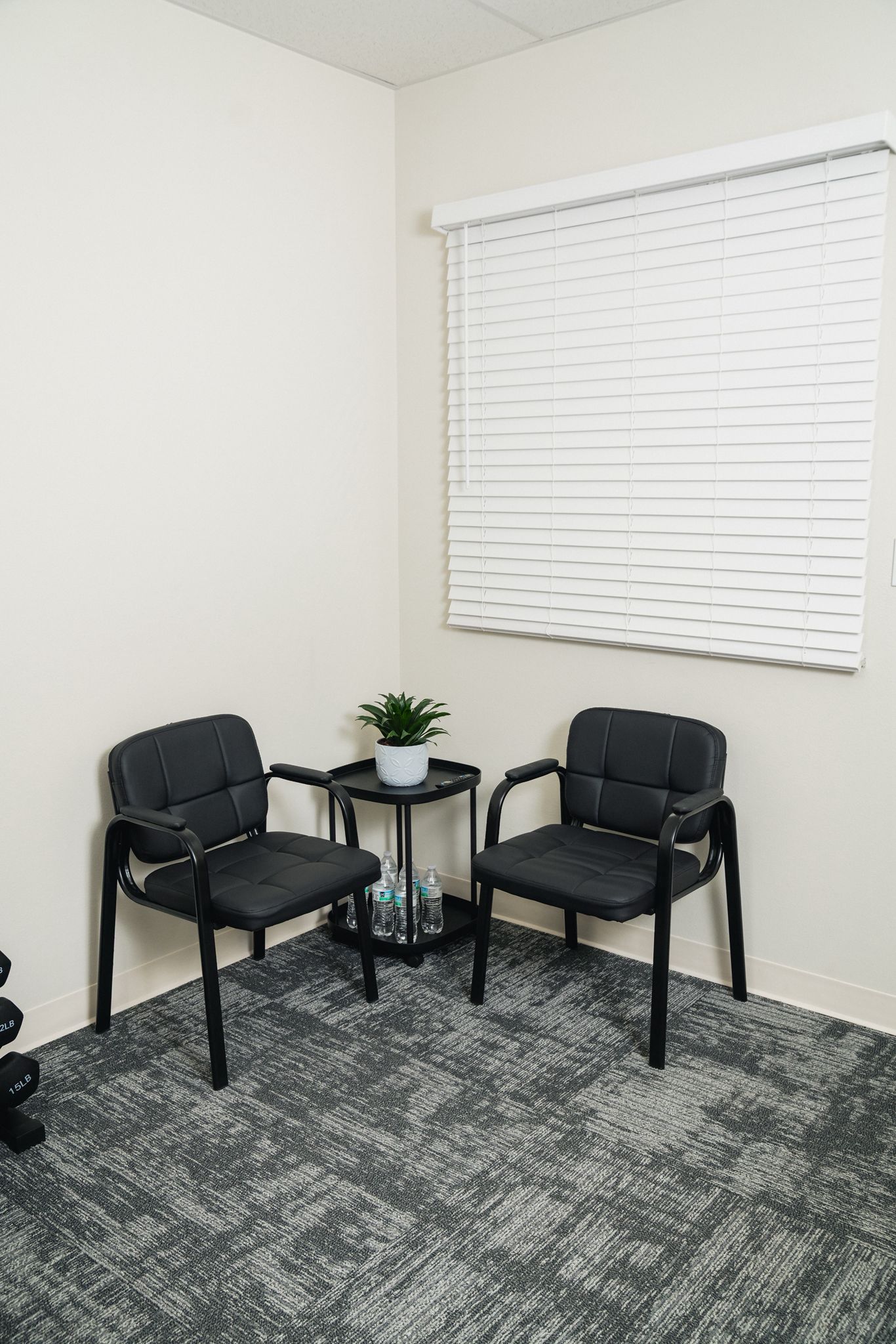 Everbloom Therapy & Wellness - Terapia Ocupacional